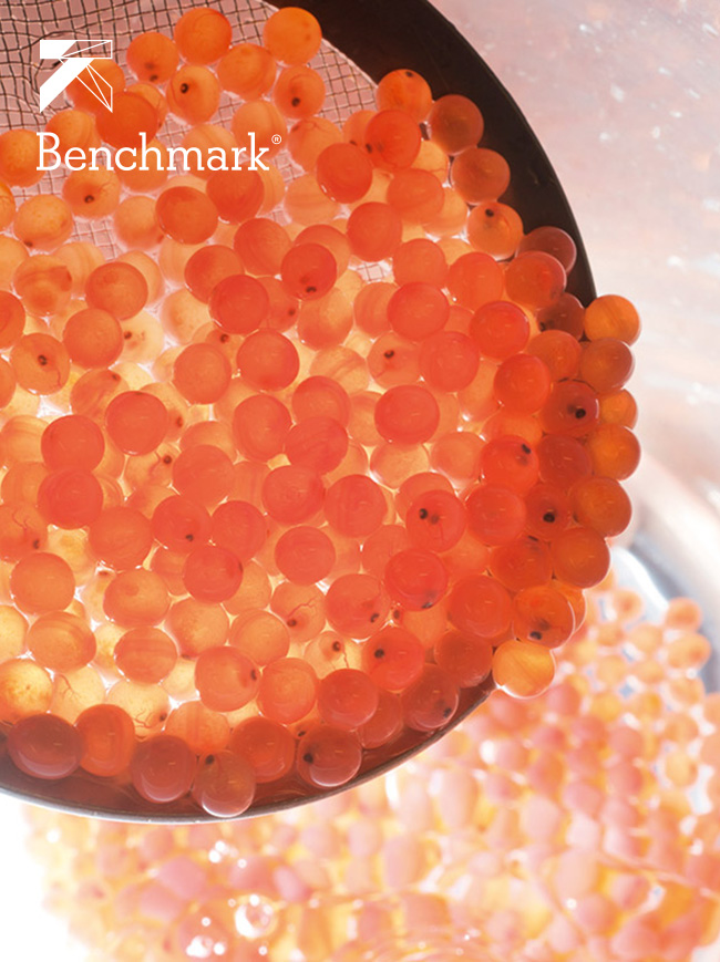 Our portfolio companies | Capital | Ferd