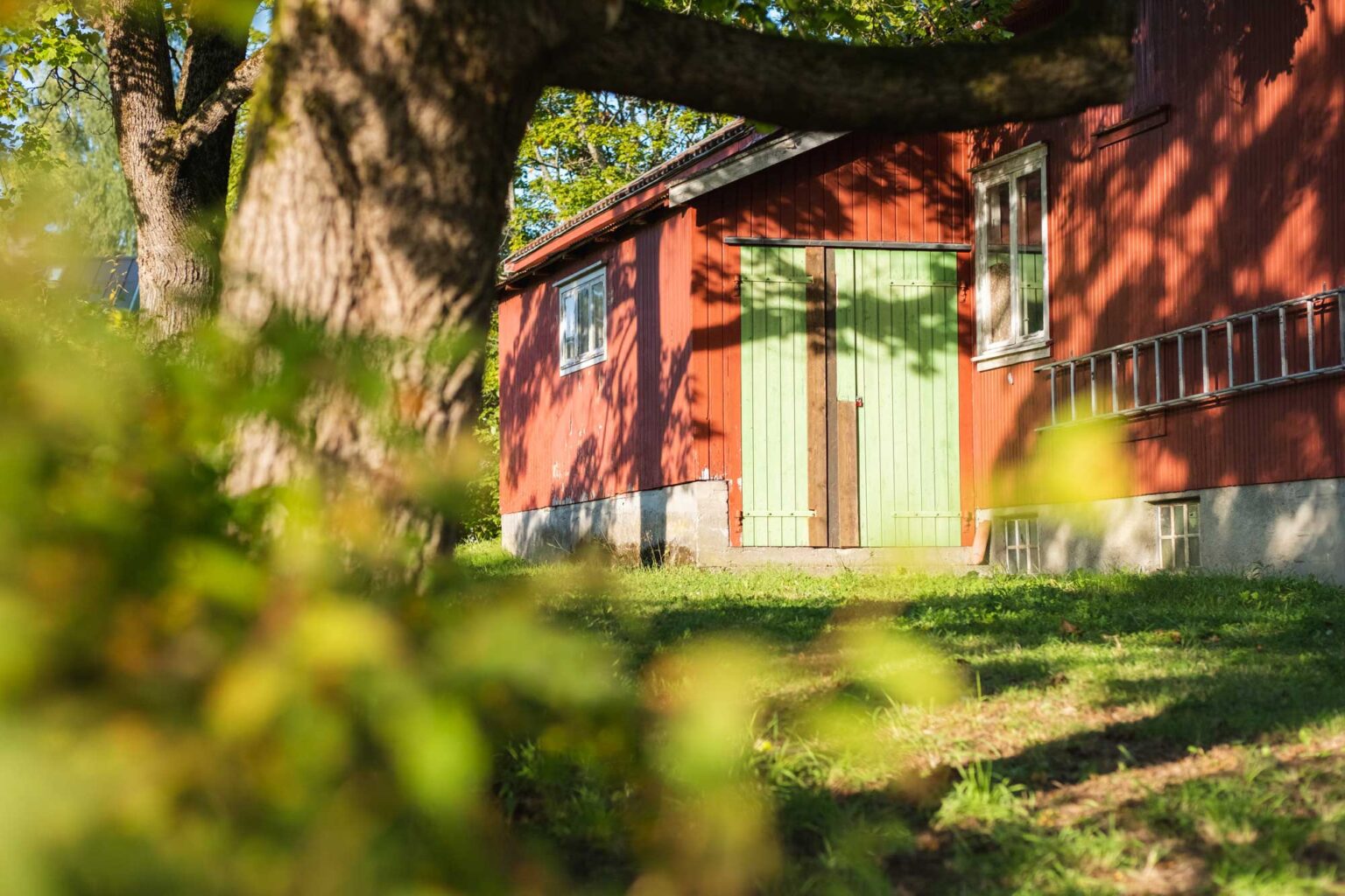 Ble forelsket i Kleven gård | Ferd