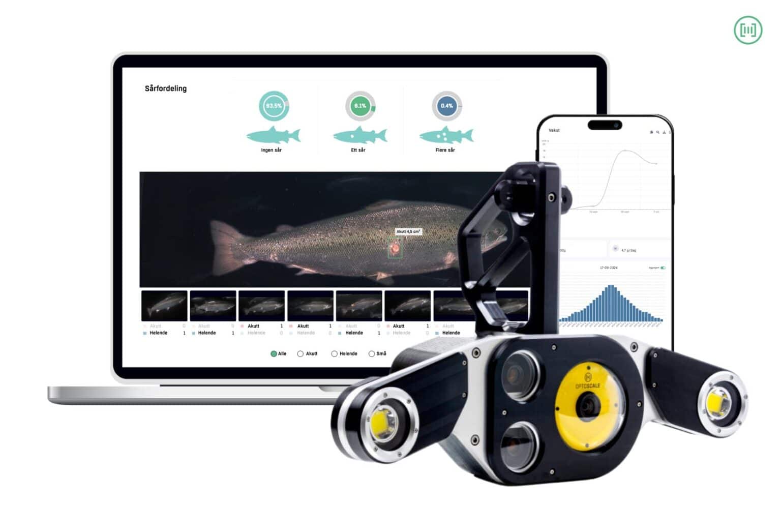 Teknologisuksess OptoScale solgt til Insight Partners | Ferd | Ferd